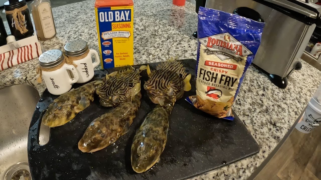 America poisonous puffer fish (catch clean cook) - YouTube