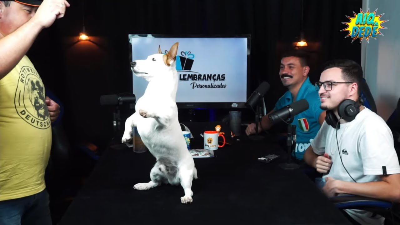 Fábio Dog Care - Aiqdedê #51 - YouTube