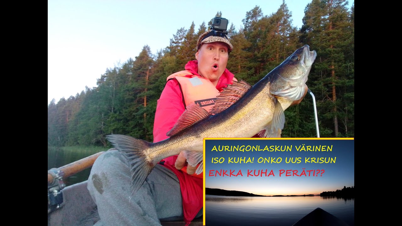 Auringonlaskun iso kuha nihkeän päivän lopuksi! Liekö uus Krisun Enkka ...