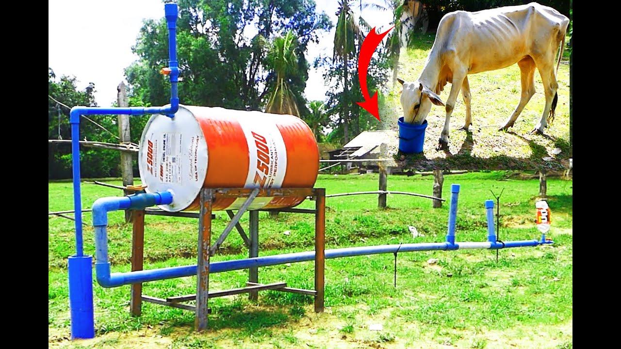 how to make drum for help cow need water in the rice farm the drum pump ...