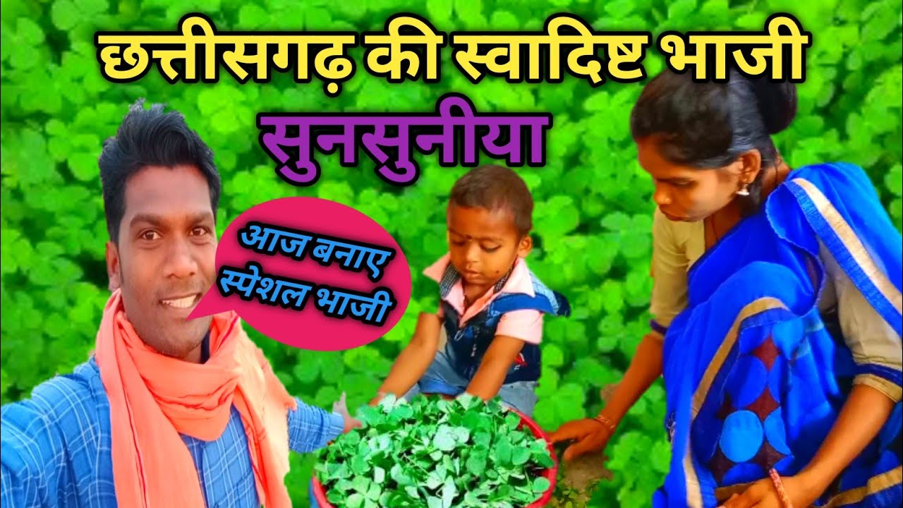 How Make To Sunsuniya Bhaji Recipe At Home।।Sunsunia Saag।।Susunia ...