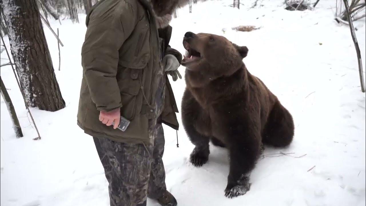 Медведю 4 года. - YouTube