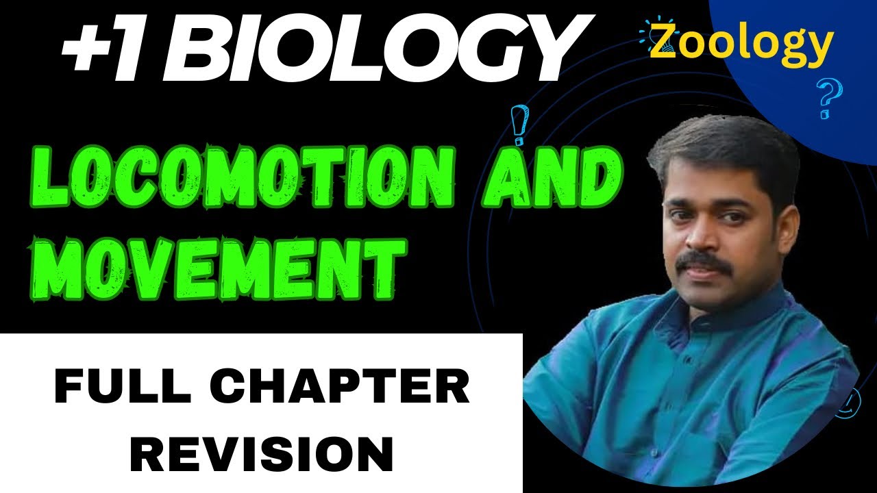 Locomotion and Movement| FULL CHAPTER REVISION | PLUS ONE ZOOLOGY - YouTube