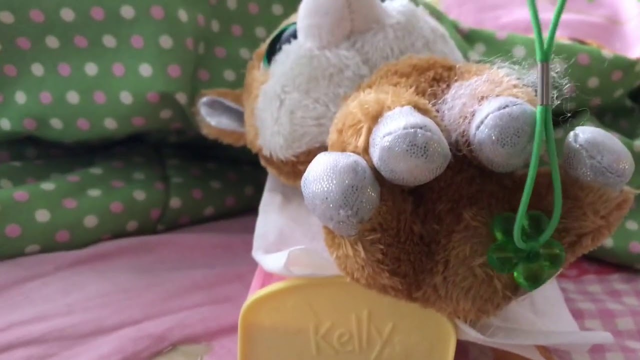 The beanie boo hospital SE 1 Ep 1 alpine has a bad fall - YouTube