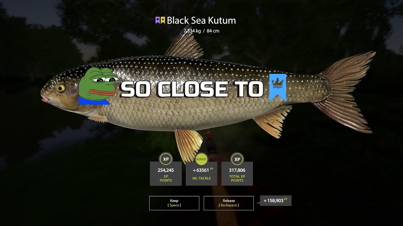 Russian Fishing 4 - Black Sea Kutum Trophy 7,334 kg - Seversky Donets ...