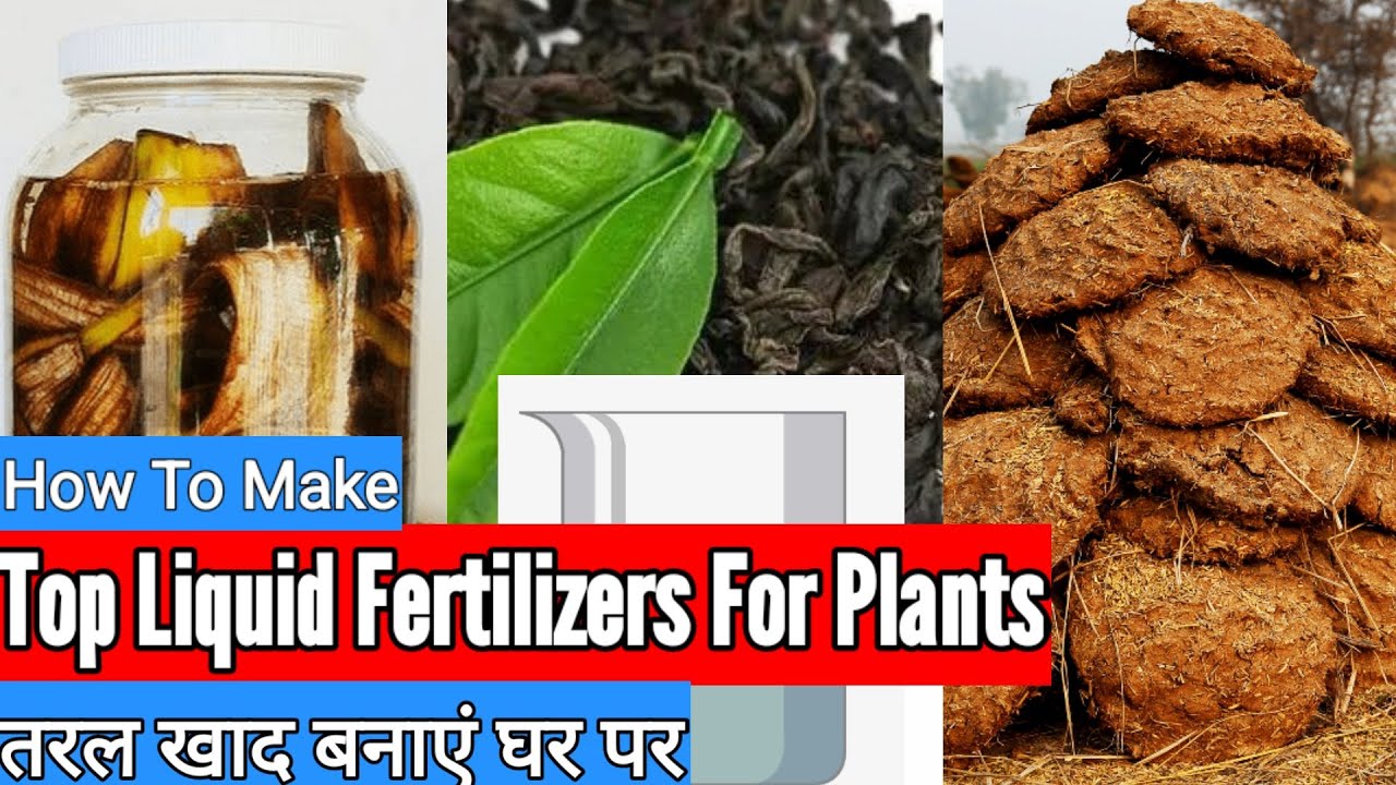 How To Make Liquid Fertilizer From Weeds at Matilda Patrick blog