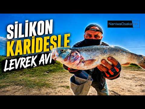 LEVREKLER FENA SALDIRDI!, SİLİKON KARİDESLE UNUTULMAZ LEVREK AVI