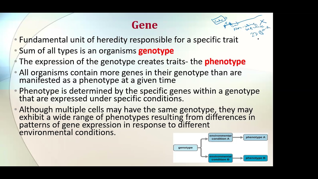 Openstax Microbiology 2021 Chapter#11 Mechanisms of microbial genetics ...