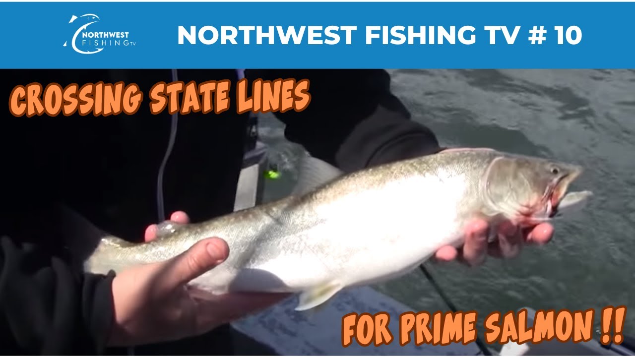 Coeur D'Alene Chinook Salmon & Lake Washington Coho | Northwest Fishing ...