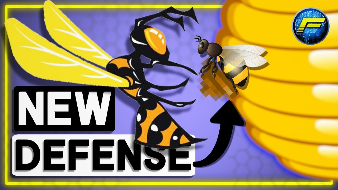 How BEES defend against HORNETS ?| Strange defense techniques - YouTube