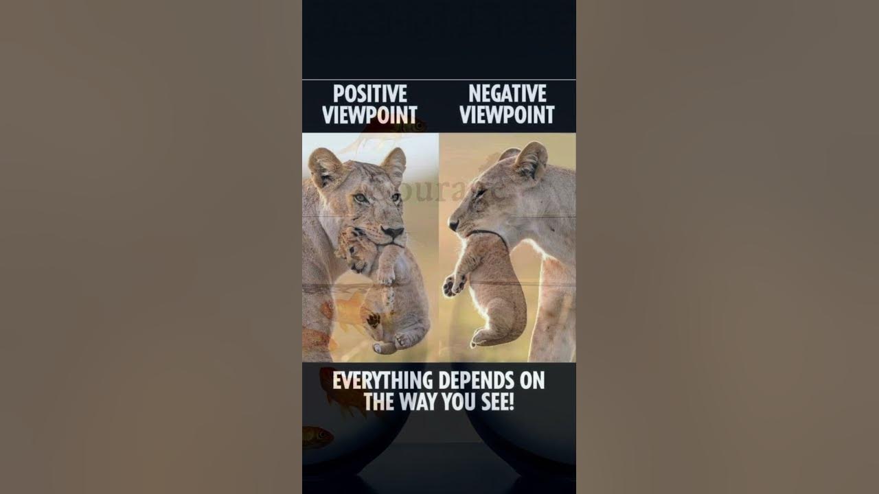 Motivational Pictures With Hidden Meaning deepmeaningpictures motivational-pictures-with-hidden-meaning-deepmeaningpictures