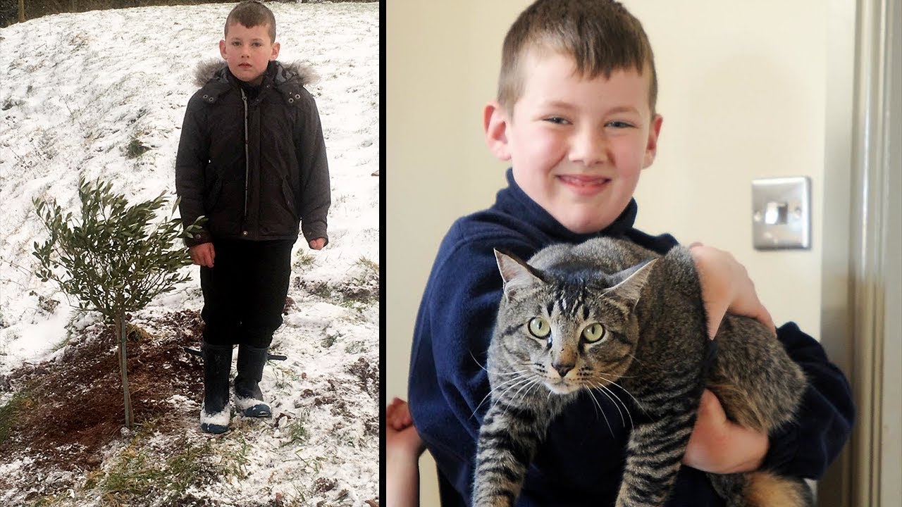 Family Buries Beloved Cat— Then He Walks Into Their Yard - YouTube