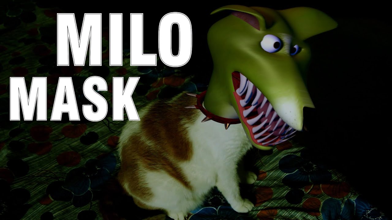 Milo Mask - nuova trasformazione di Simba The Cat - YouTube