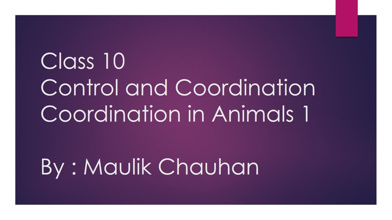 Control and Coordination : Coordination in Animals Part 1 - YouTube