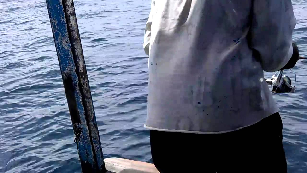 tenggiri tuas yan 23.5.2013 pt1 - YouTube