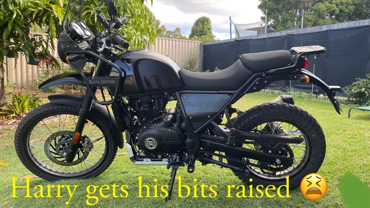 Harry the Himalayan gets modded … well just a little bit - YouTube