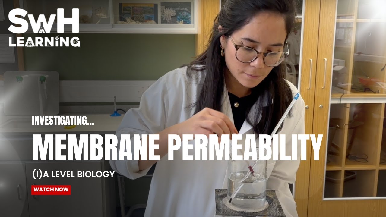 Effect Of Temperature On Membrane Permeability | SwH Learning - YouTube