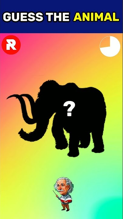 Guess the animal by shadow | animal guessing game | guess the animal by ...