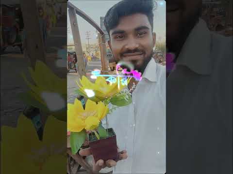 November 14, 2024 - YouTube