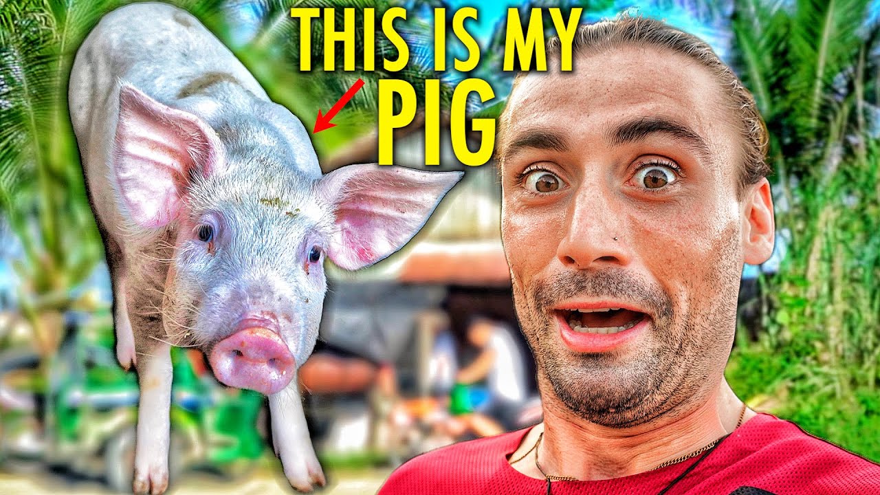 Buying My First Pig From A Local Man! (Native Provincial Pig) - YouTube