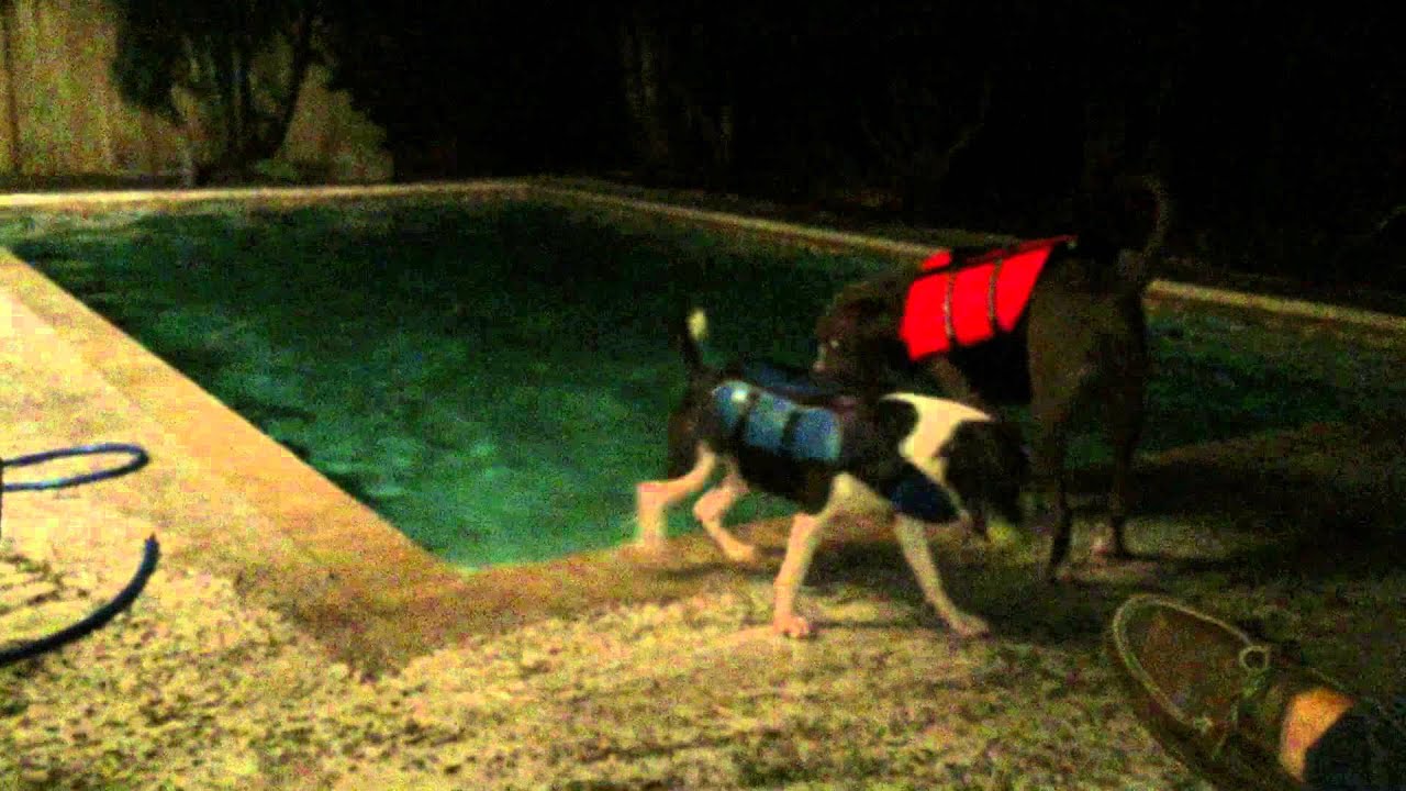 RUFF Tales Rescue - YouTube