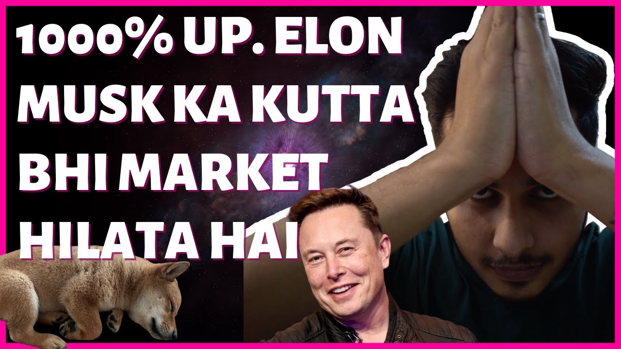 🚀क्रिप्टो Updates - 1000% Up in 24 Hours?? Elon Musk's Shiba Inu Dog Is ...
