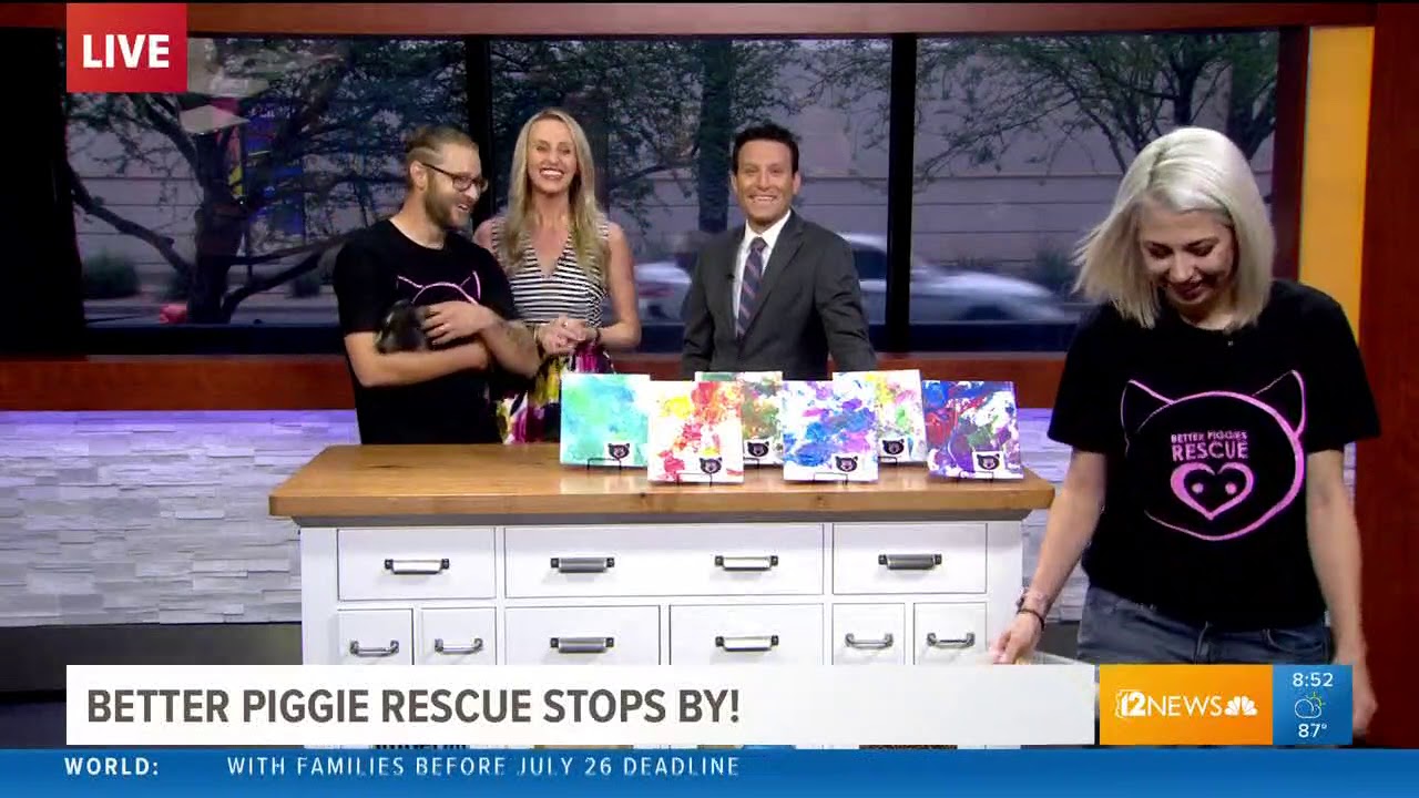 Better Piggies Rescue discuss the rise in pig adoptions - YouTube