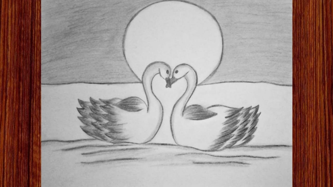 How To Draw A Swan Step By Step || Duck Pencil Sketch For Beginners ...