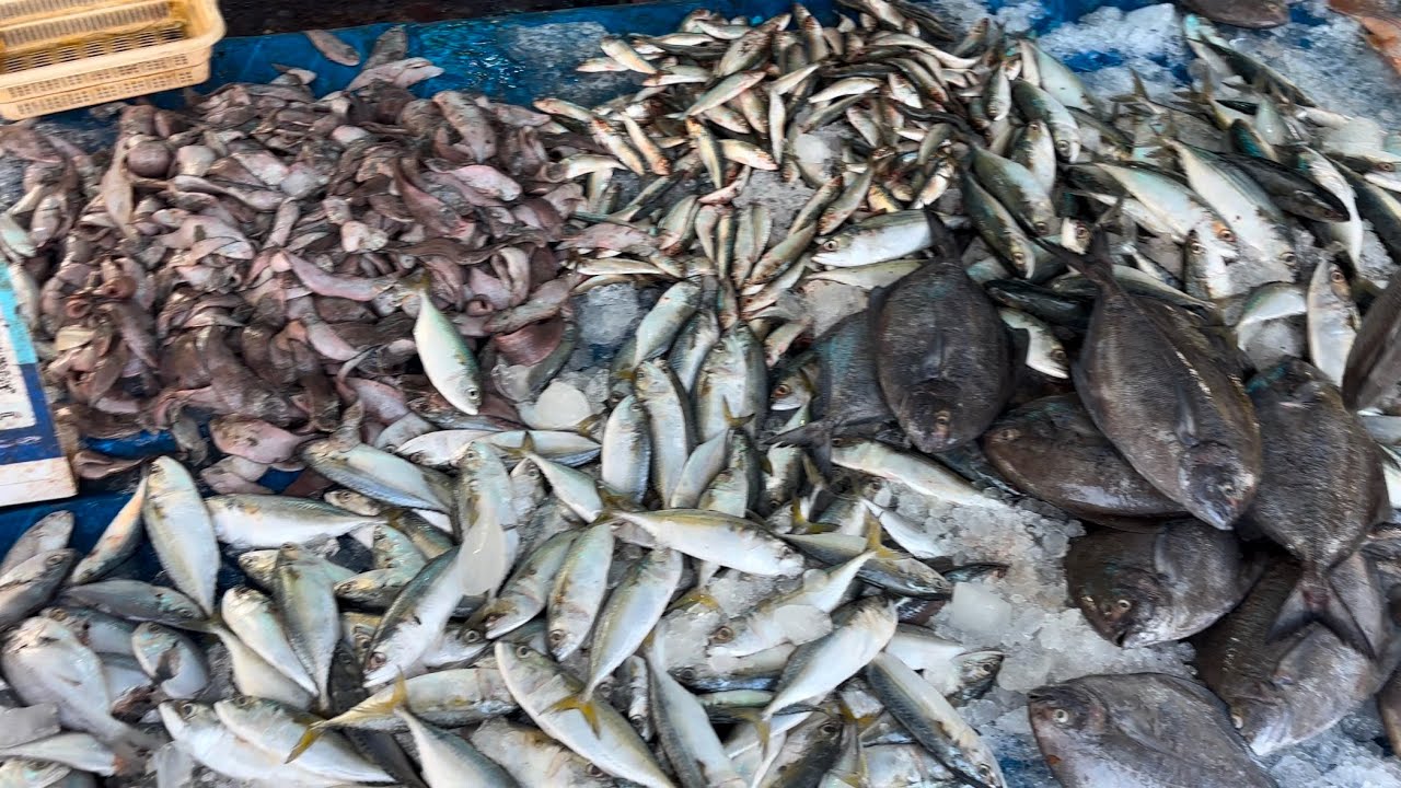 Goa vlog | goa fish | prawns biryani | Abr life | Bogmalo beach Dabolim ...