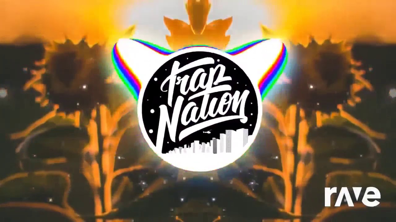 Ravedj Lion King Theme Song Remix - J & Ravedj But A G Thang | RaveDj ...