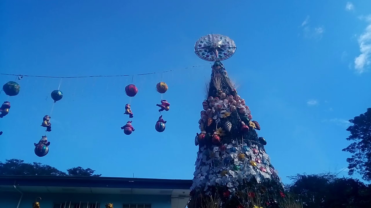 Christmas Day Aftermath 2019 at Saint Anthony of Padua Parish Church ...