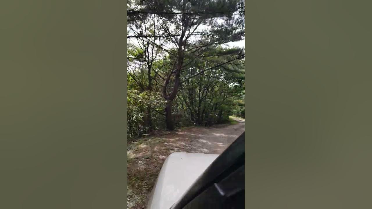 서산 가야산 해발 678m 원평리~퉁퉁고개~덕산도립공원주차장 7km Forest road(임도) - YouTube