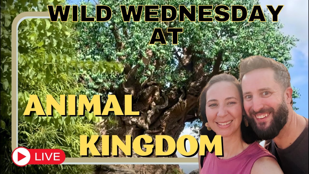 🔴Live: Wild Wednesday Morning at Animal Kingdom - Walt Disney World 10 ...