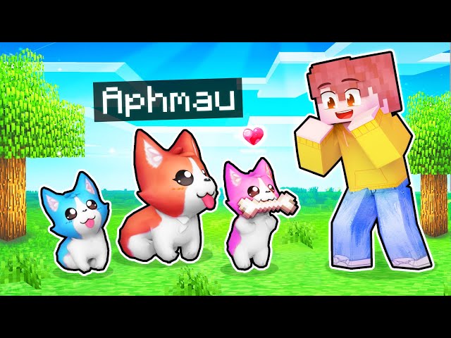 Minecraft Baby Dogs