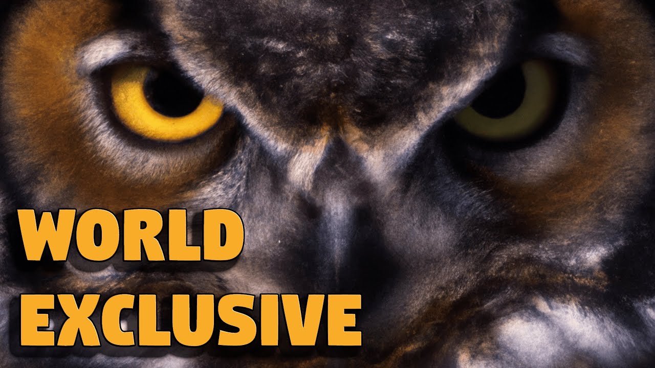 "Owl Observatory" Demo 🦉 With "The Owl" voice actor🦉 World Exclusive ...