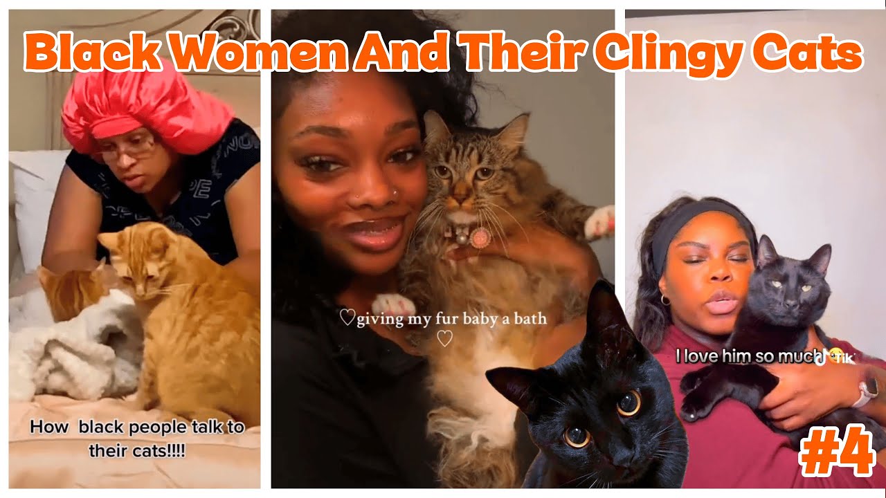 Black Women & Their Clingy Cats #4 | LUCKY UPDATE 🐾 | Funny TikTok ...