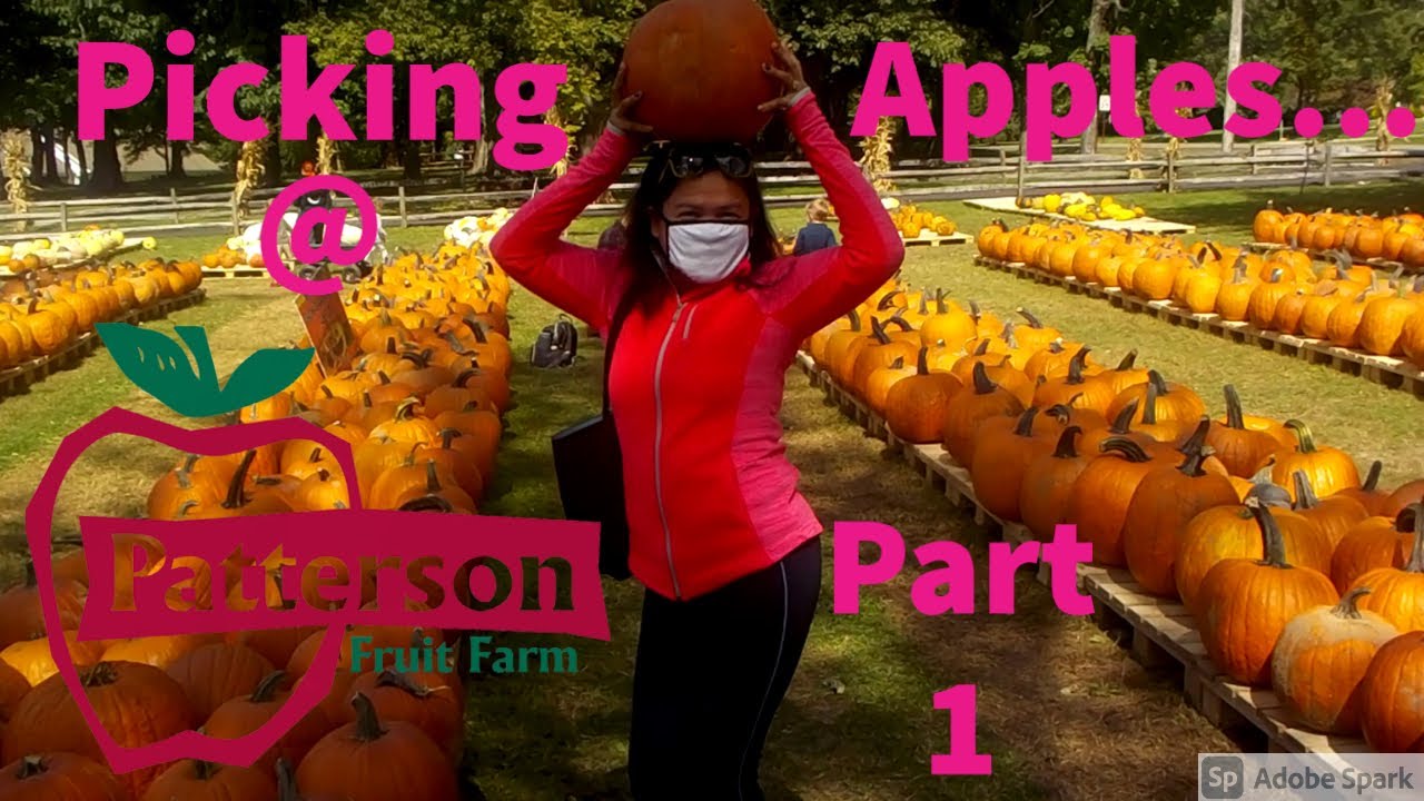 Picking Apples @ Patterson Fruit Farms... Part 1 - YouTube
