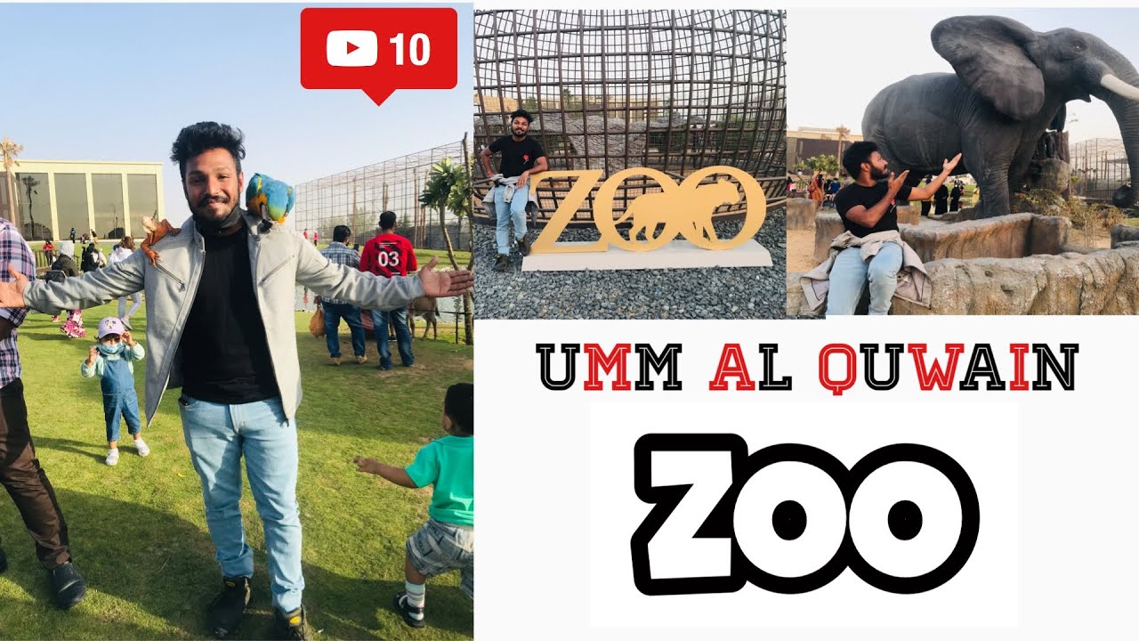 Dubai | Zoo | Umm Al Quwain Zoo | Family spot | Live Animals | Wild ...