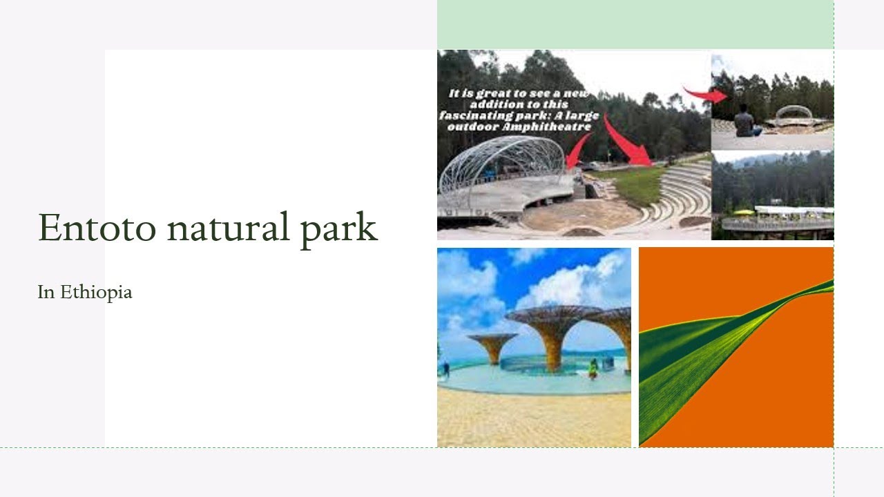 እንጦጦ ፓርክ/ Entoto Park - YouTube