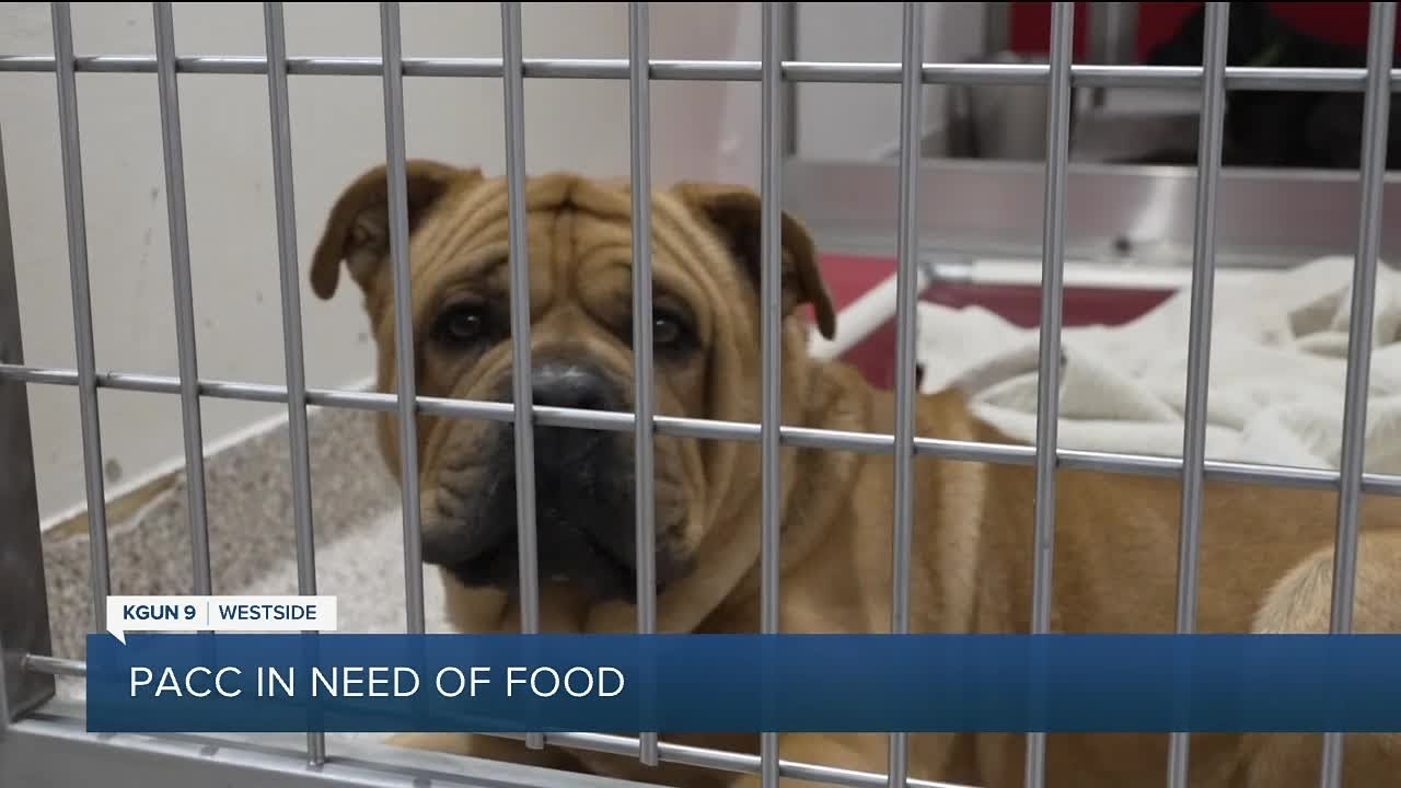 Food donations needed to help more than 1,500 animals in PACC - YouTube