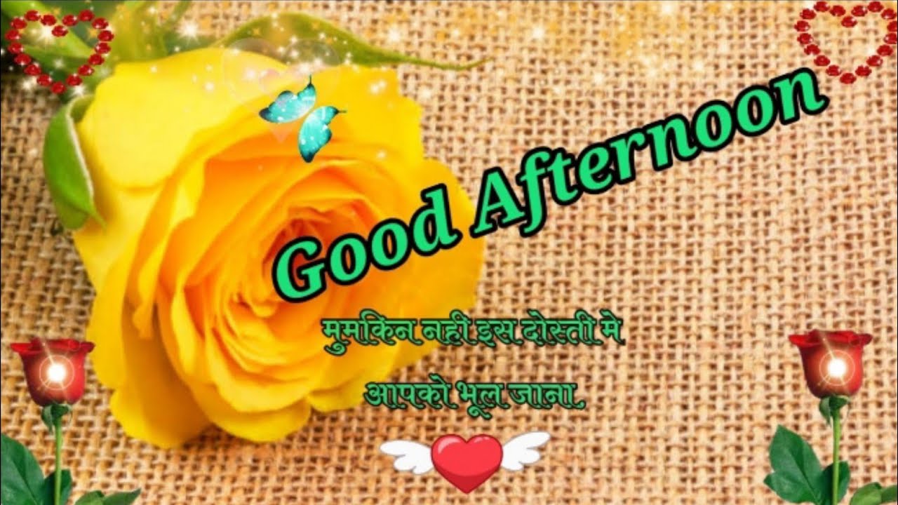 good afternoon status|good afternoon status video|shayari|love shayari ...