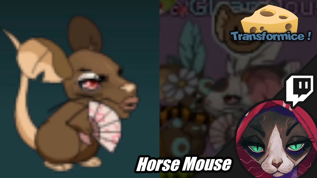 I became a horse-mouse... 🐴🐁 Wholesome Transformice Moments - YouTube