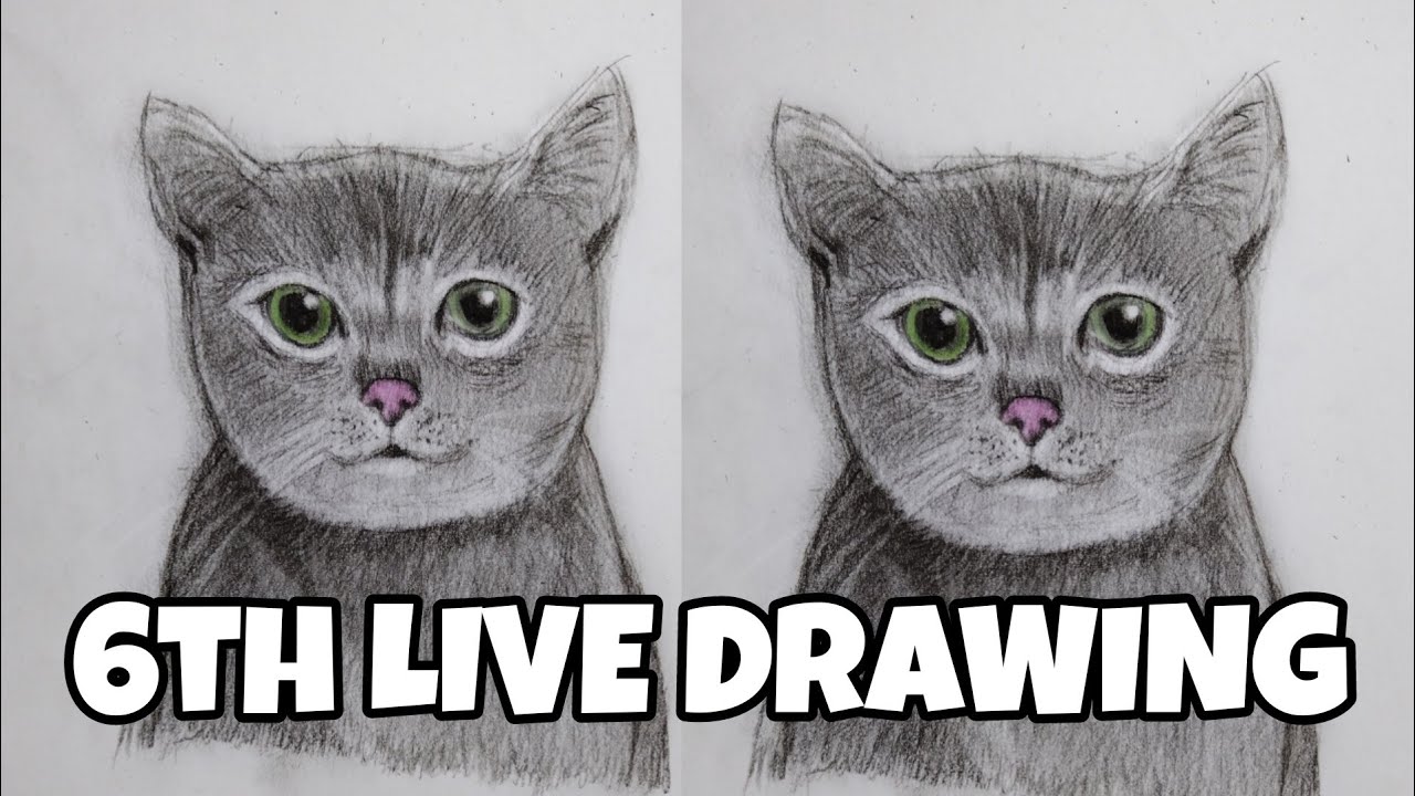 6th LIVE DRAWING | PRACTICE - YouTube