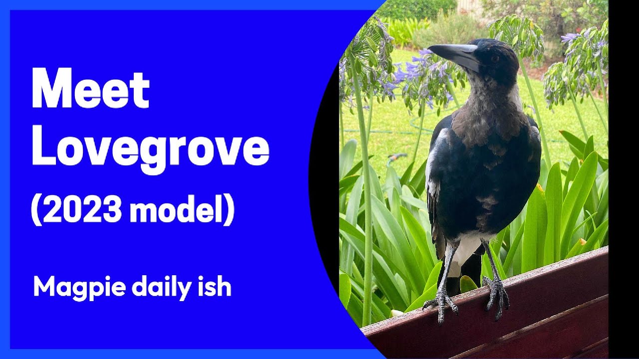 Meet Lovegrove - YouTube