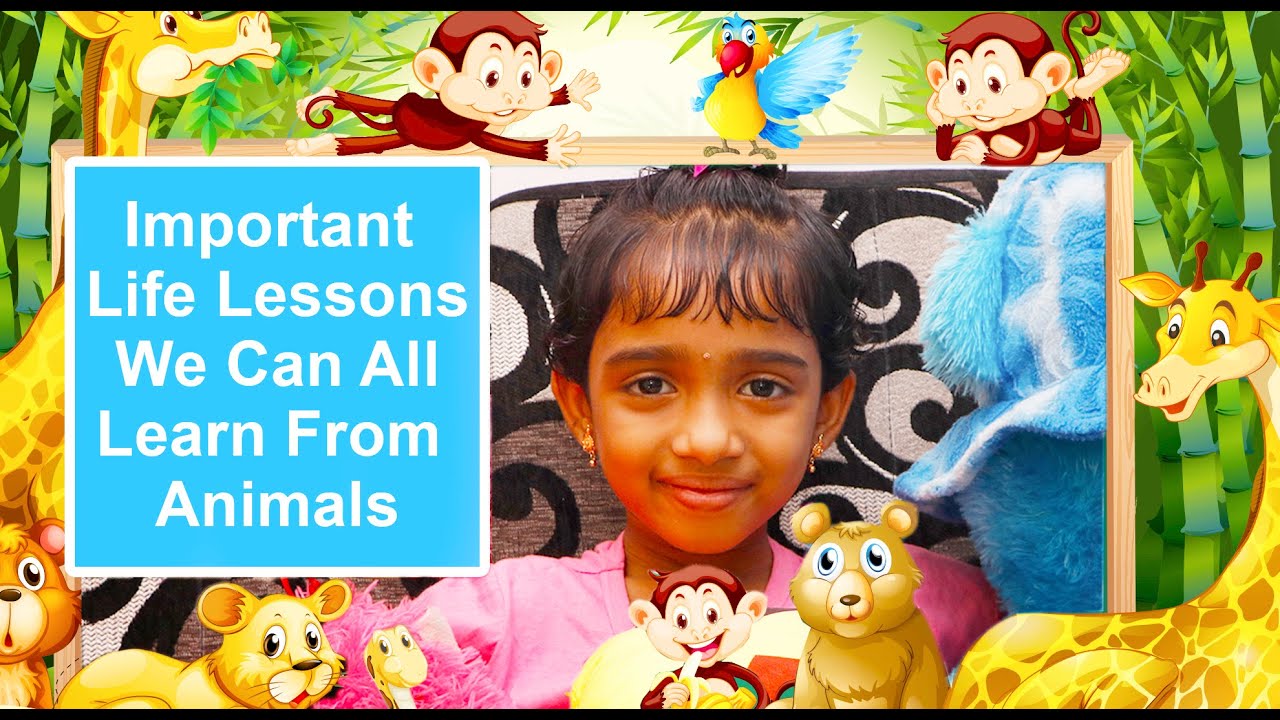 Life's Motivation lessons from Animals (2019)| 6 Animal Life Lesson for ...