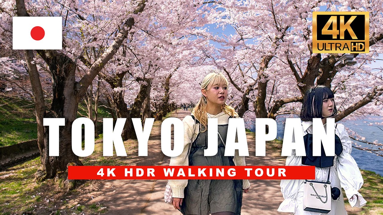 Tokyo, Japan 4K Walking Tour - Sakura Cherry Blossom Walkthrough | 4K ...