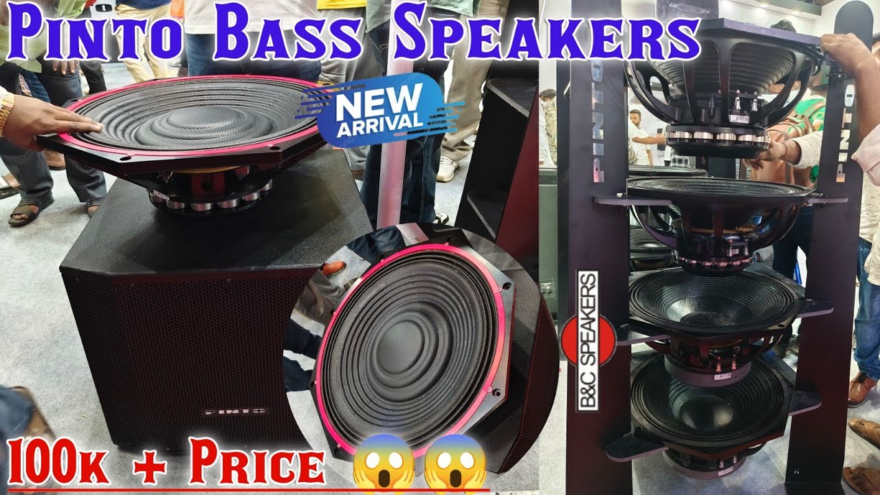 Pinto Speakers 21 inch | pinto 2000 watt speaker price | pinto dj setup ...