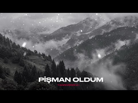 NOVA - PİŞMAN OLDUM
