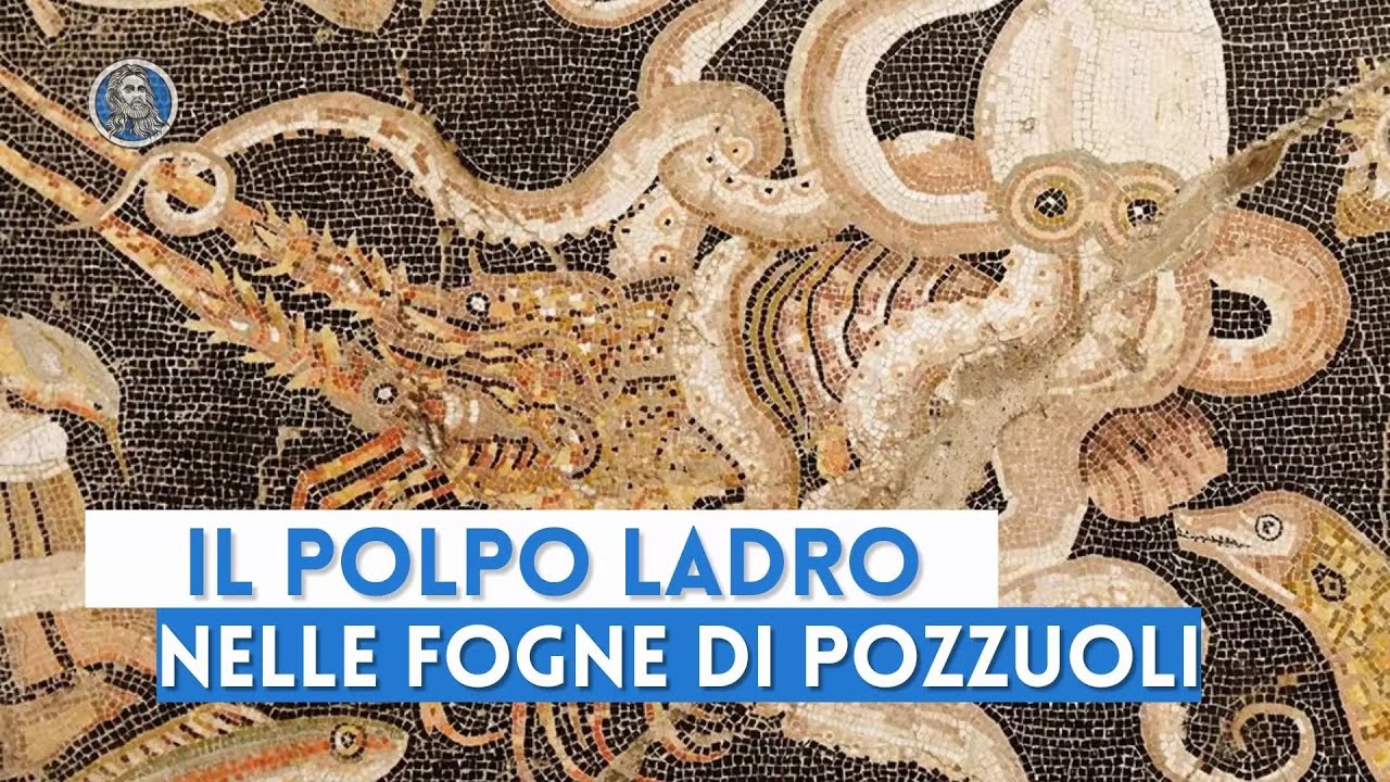Il Polpo ladro nelle fogne di Pozzuoli - YouTube