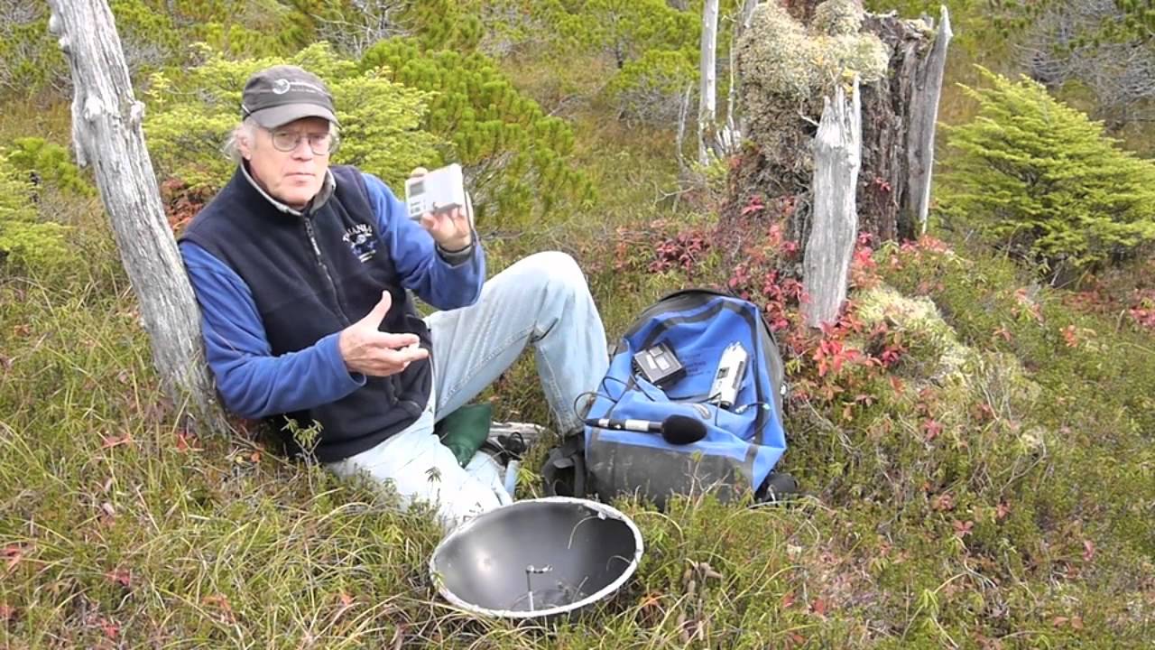 Getting Started with Recording Natural sounds - YouTube